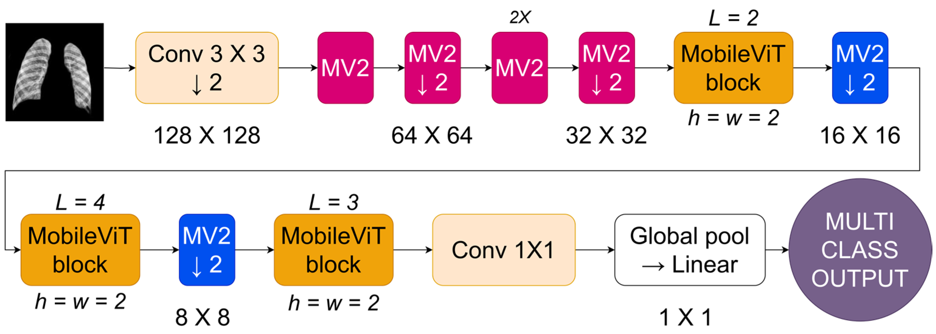 Four Transformer-Based Deep Learning Classifiers Embedded with an Attention U-Net-Based Lung ...