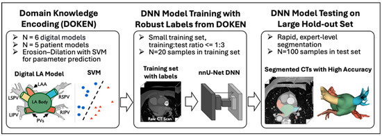Novel Domain Knowledge-Encoding Algorithm Enables Label-Efficient Deep Learning for Cardiac CT ...
