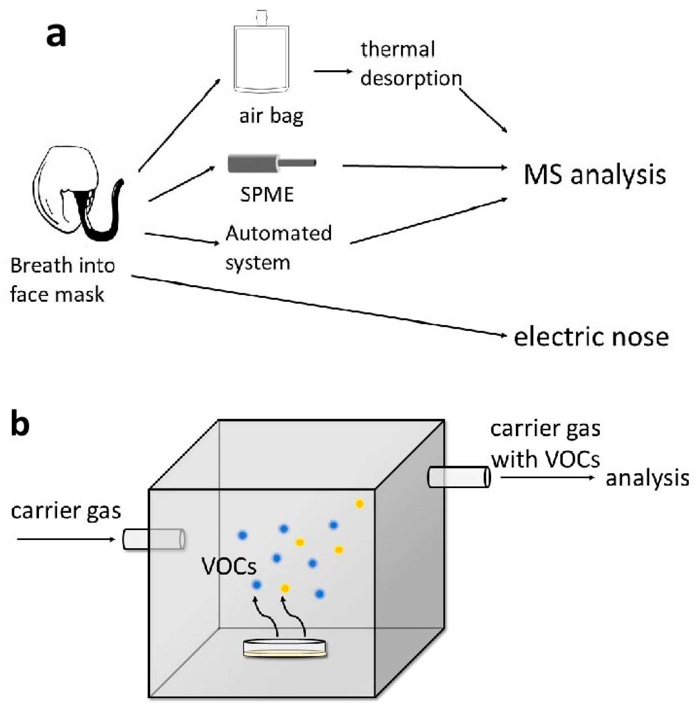 Sample Collection and Processing in Volatile Organic Compound Analysis ...