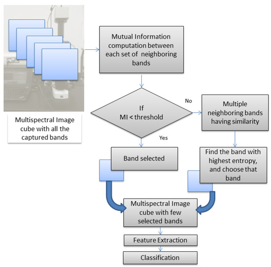 An Analytical Study on the Utility of RGB and Multispectral Imagery with Band Selection for ...