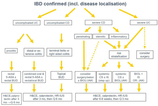 Role of Intestinal Ultrasound for IBD Care: A Practical Approach