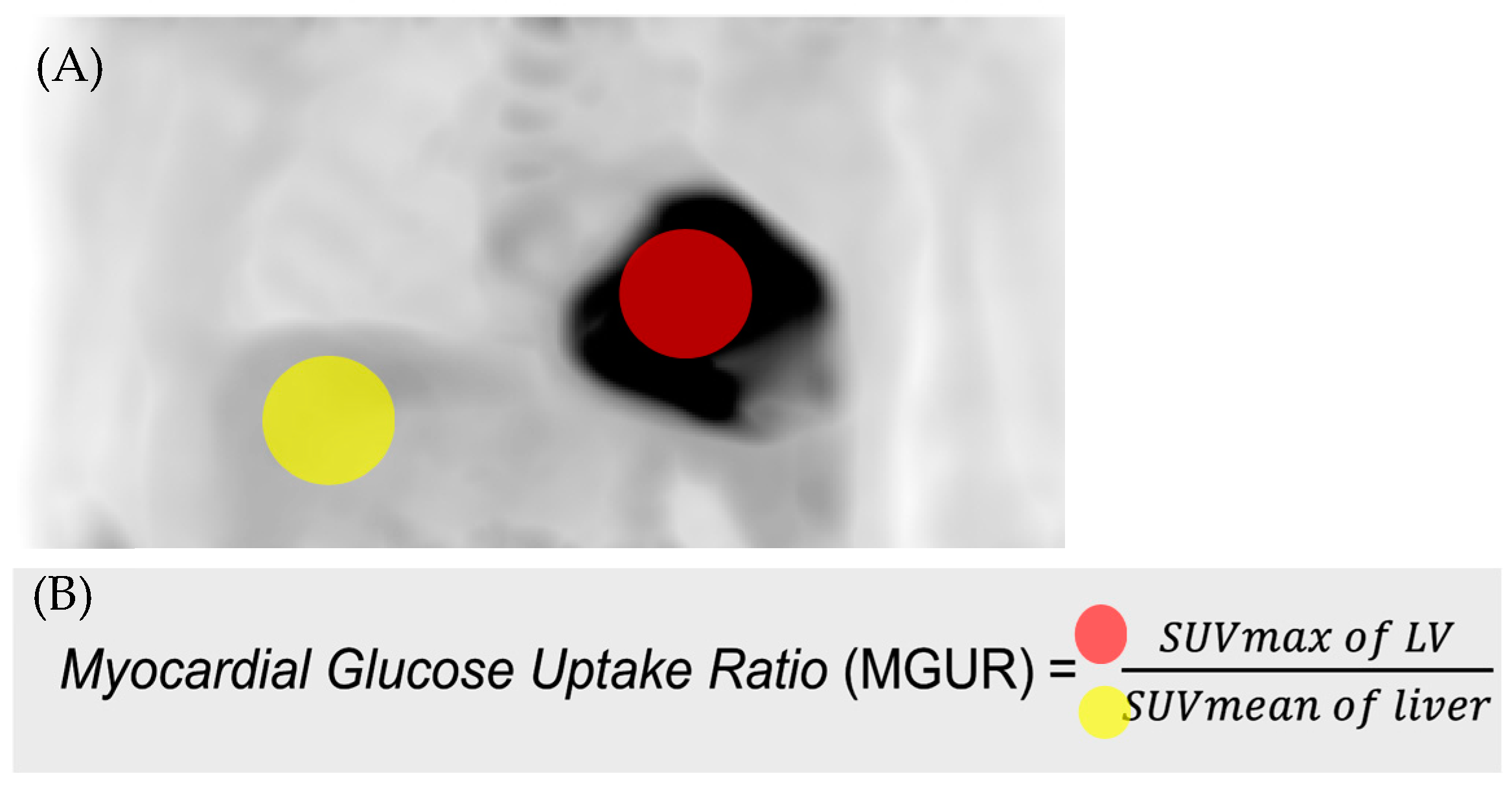 Diagnostics | Free Full-Text | Evaluation of Clinical Variables ...