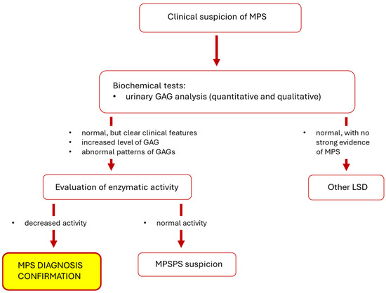 Mucopolysaccharidosis Type IIIE: A Real Human Disease or a Diagnostic ...