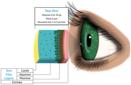 Tear Film Conditions and Depression Symptoms in Persons with Obesity