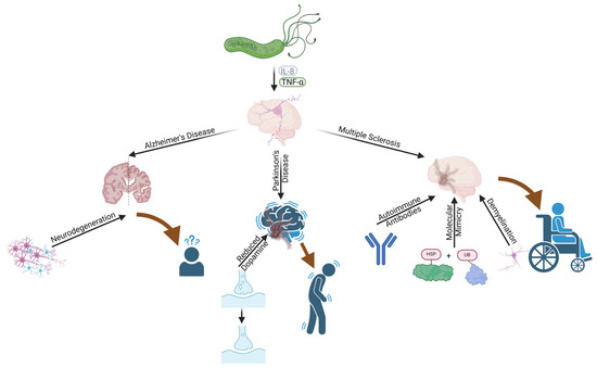 Diagnostics | Free Full-Text | Cardiovascular and Neurological Diseases ...