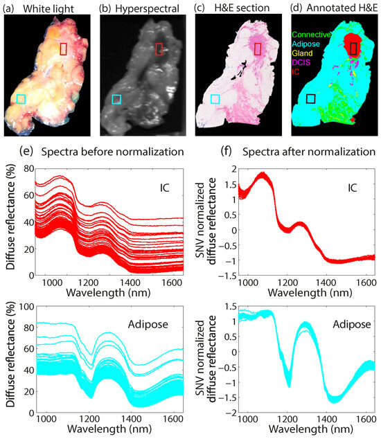 Separating Surface Reflectance from Volume Reflectance in Medical ...