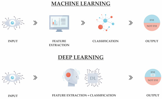 AI-Enhanced ECG Applications in Cardiology: Comprehensive Insights from ...