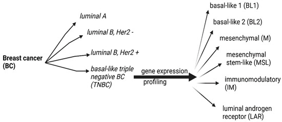 Triple-Negative Breast Cancer: Molecular Particularities Still a Challenge