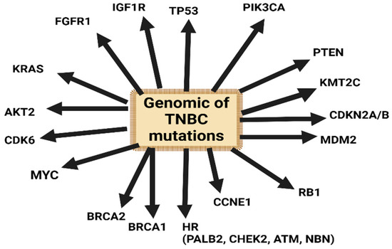 Diagnostics | Free Full-Text | Triple-Negative Breast Cancer: Molecular ...