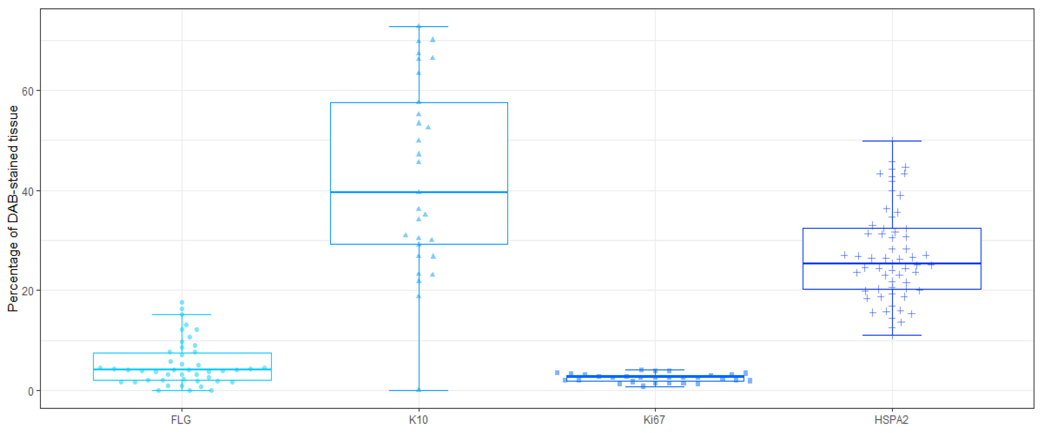 EpidermaQuant: Unsupervised Detection and Quantification of Epidermal ...