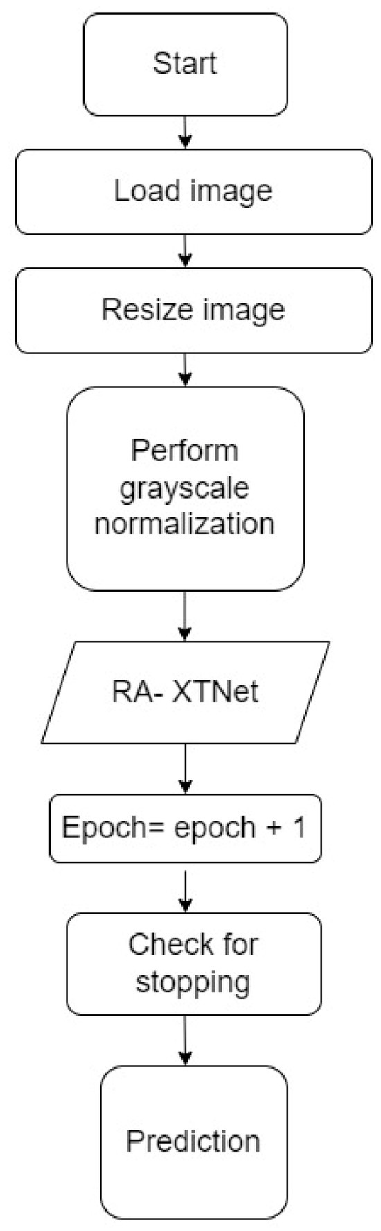 RA-XTNet: A Novel CNN Model to Predict Rheumatoid Arthritis from Hand ...