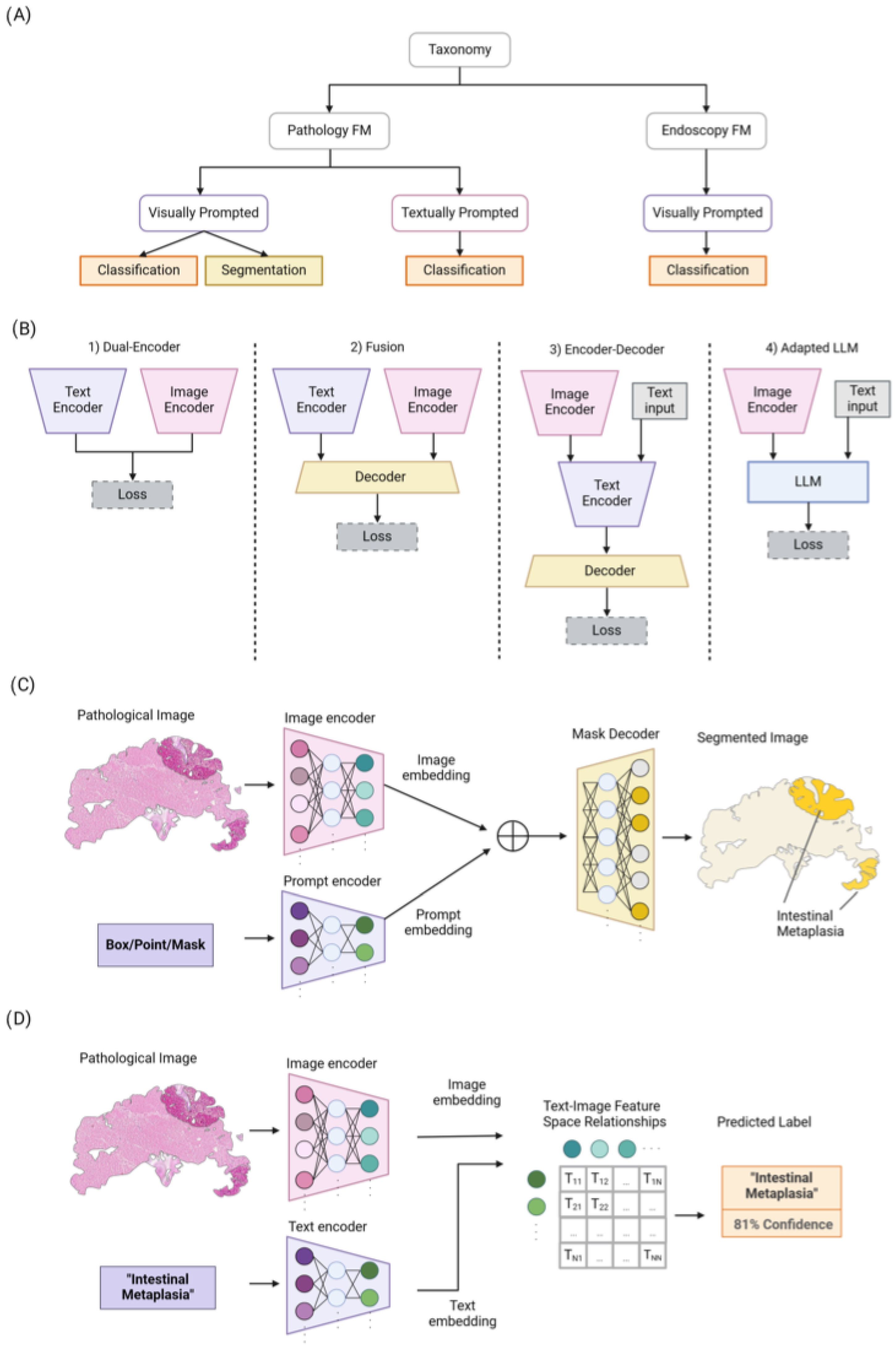 Diagnostics | Free Full-Text | Foundational Models for Pathology and Endoscopy Images ...