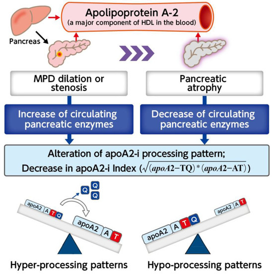 Potential of Carbohydrate Antigen 19-9 and Serum Apolipoprotein A2 ...