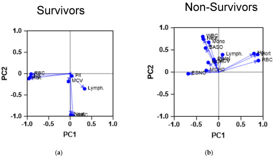 Back to Basics: The Diagnostic Value of a Complete Blood Count in the ...