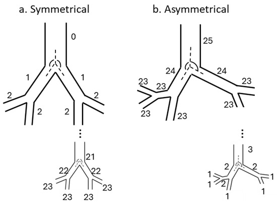 Modeling Realistic Geometries in Human Intrathoracic Airways