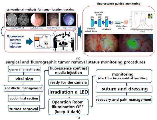 Optical Methods for Optimizing Fluorescence Imaging Field of View and ...