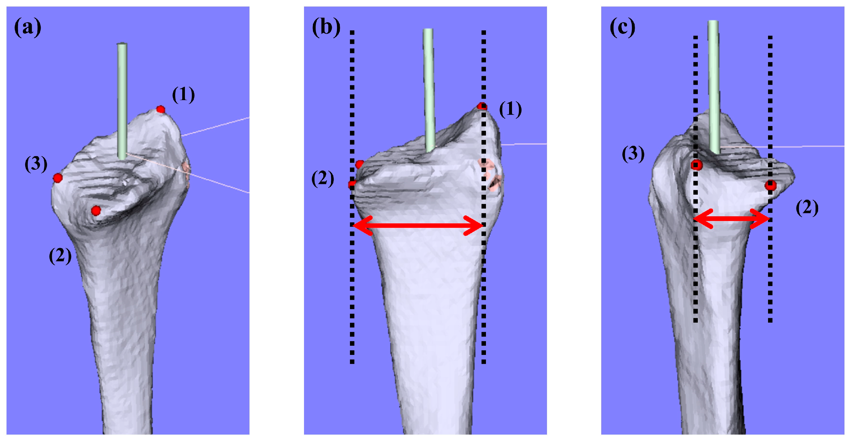 Relationship between Physical Characteristics and Morphological ...