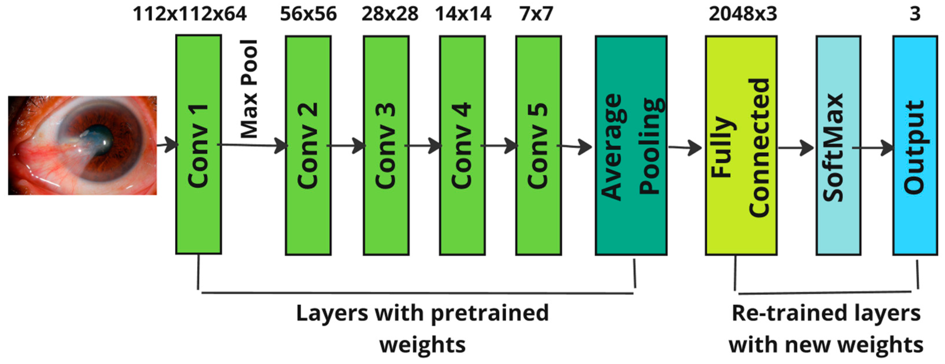 A Performance Evaluation of Convolutional Neural Network Architectures ...