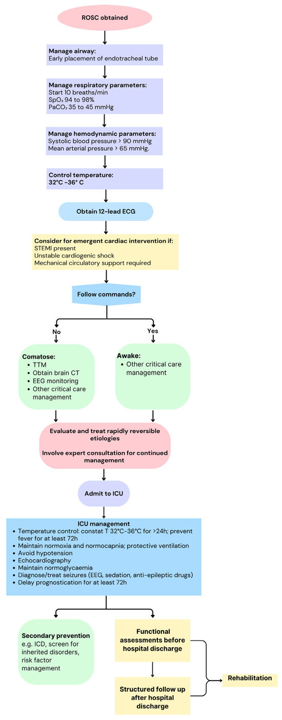 Echocardiography in Cardiac Arrest: Incremental Diagnostic and ...