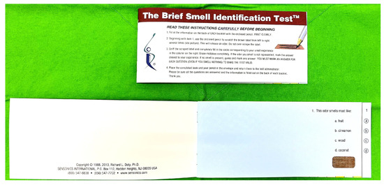A Pilot Study of the Computerized Brief Smell Identification Test