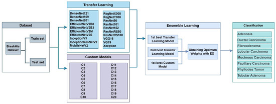 Equilibrium Optimization-Based Ensemble CNN Framework for Breast Cancer ...