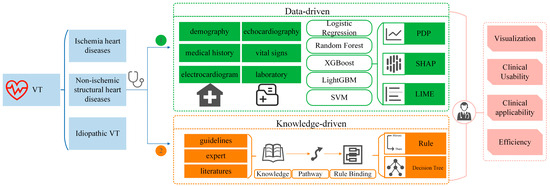 Interpretable Clinical Decision-Making Application for Etiological Diagnosis of Ventricular ...