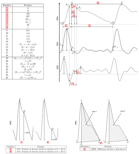 Photoplethysmography Features Correlated with Blood Pressure Changes