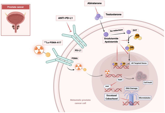 Bone-Targeting Radionuclides in the Treatment of Metastatic Castration ...