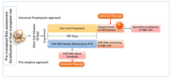 Cytomegalovirus Infections in Hematopoietic Stem Cell Transplant ...