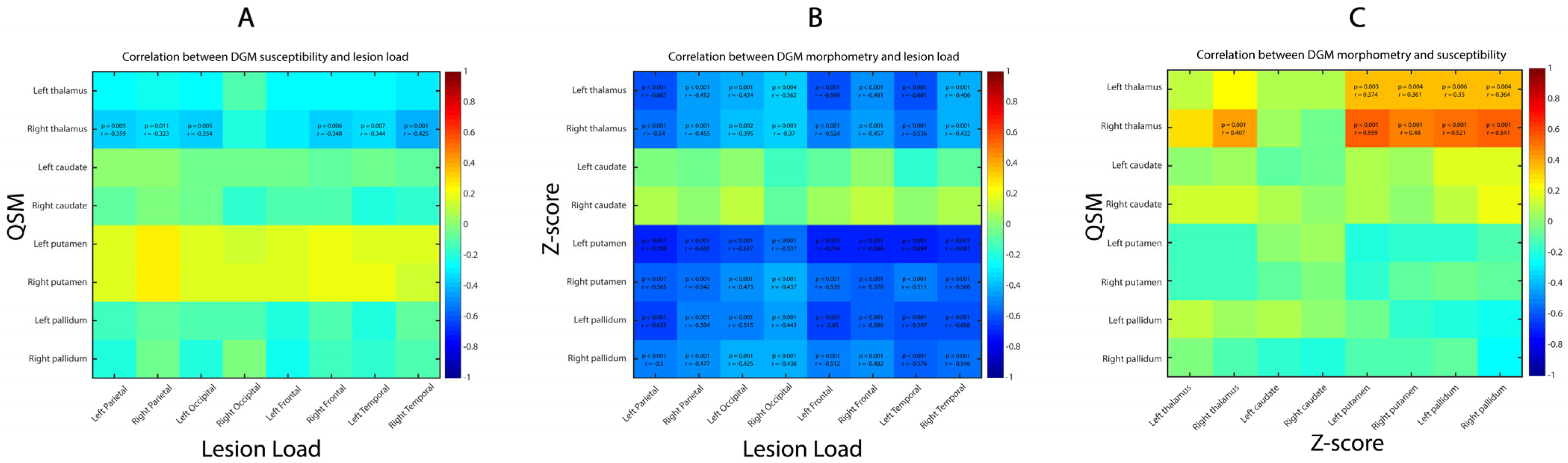 Automated Quantitative Susceptibility and Morphometry MR Study: Feasibility and Interrelation ...