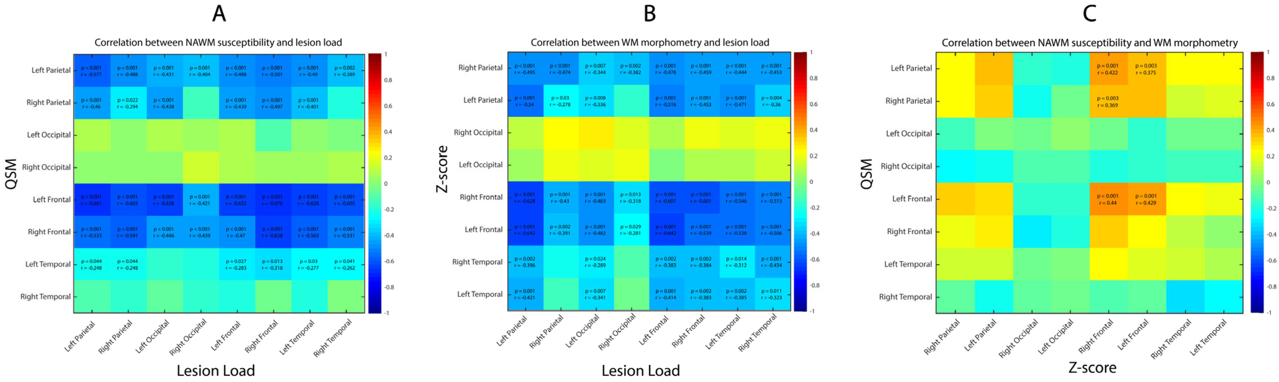 Automated Quantitative Susceptibility and Morphometry MR Study: Feasibility and Interrelation ...