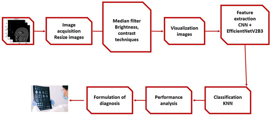 A Hybrid Deep Learning Model with Data Augmentation to Improve Tumor Classification Using MRI Images