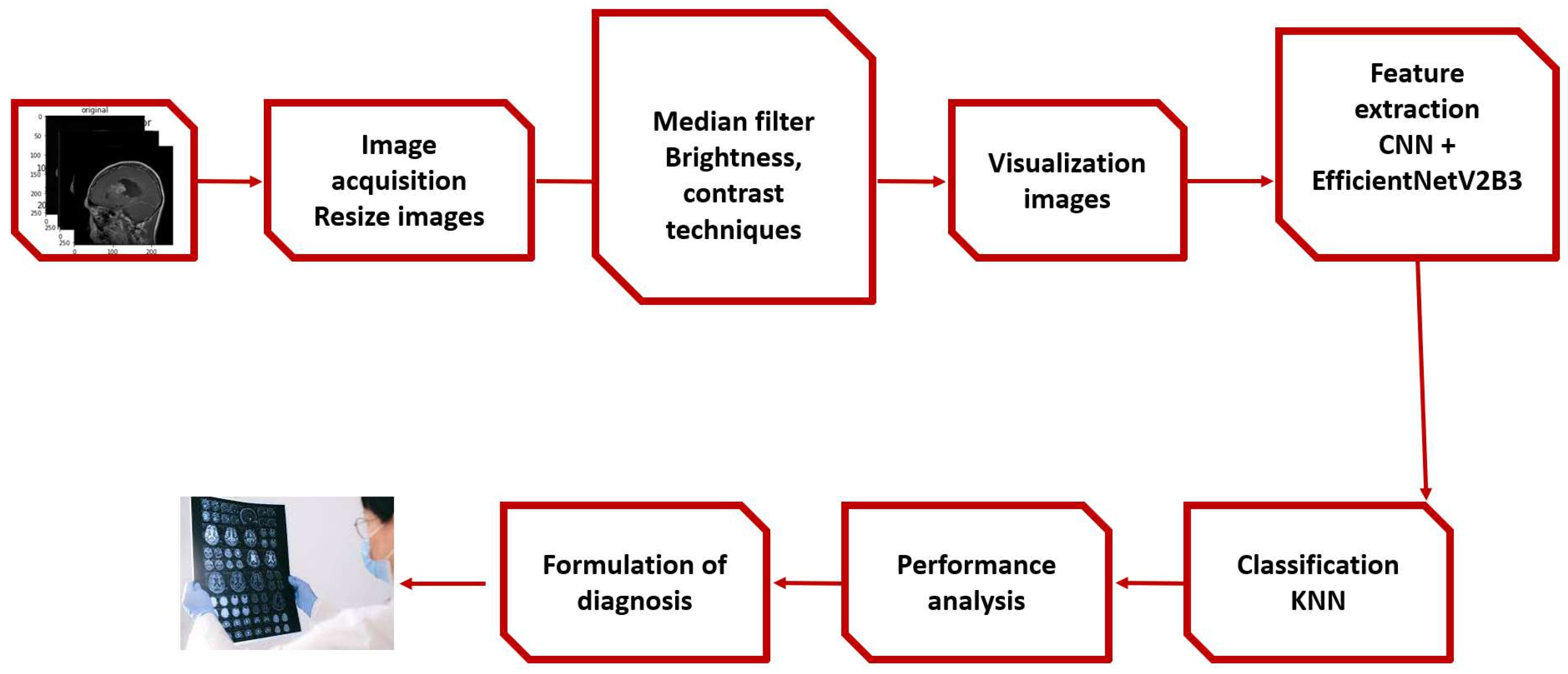 A Hybrid Deep Learning Model with Data Augmentation to Improve Tumor ...