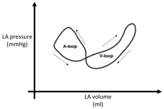 Echocardiography in the Assessment of Heart Failure Patients