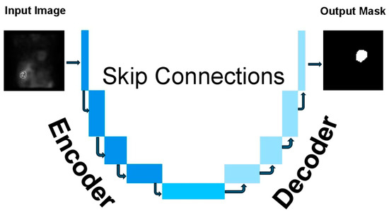Application of the U-Net Deep Learning Model for Segmenting Single ...