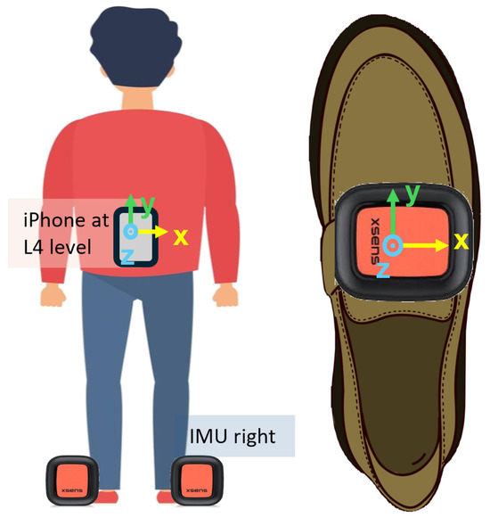Gait-Based AI Models for Detecting Sarcopenia and Cognitive Decline Using Sensor Fusion
