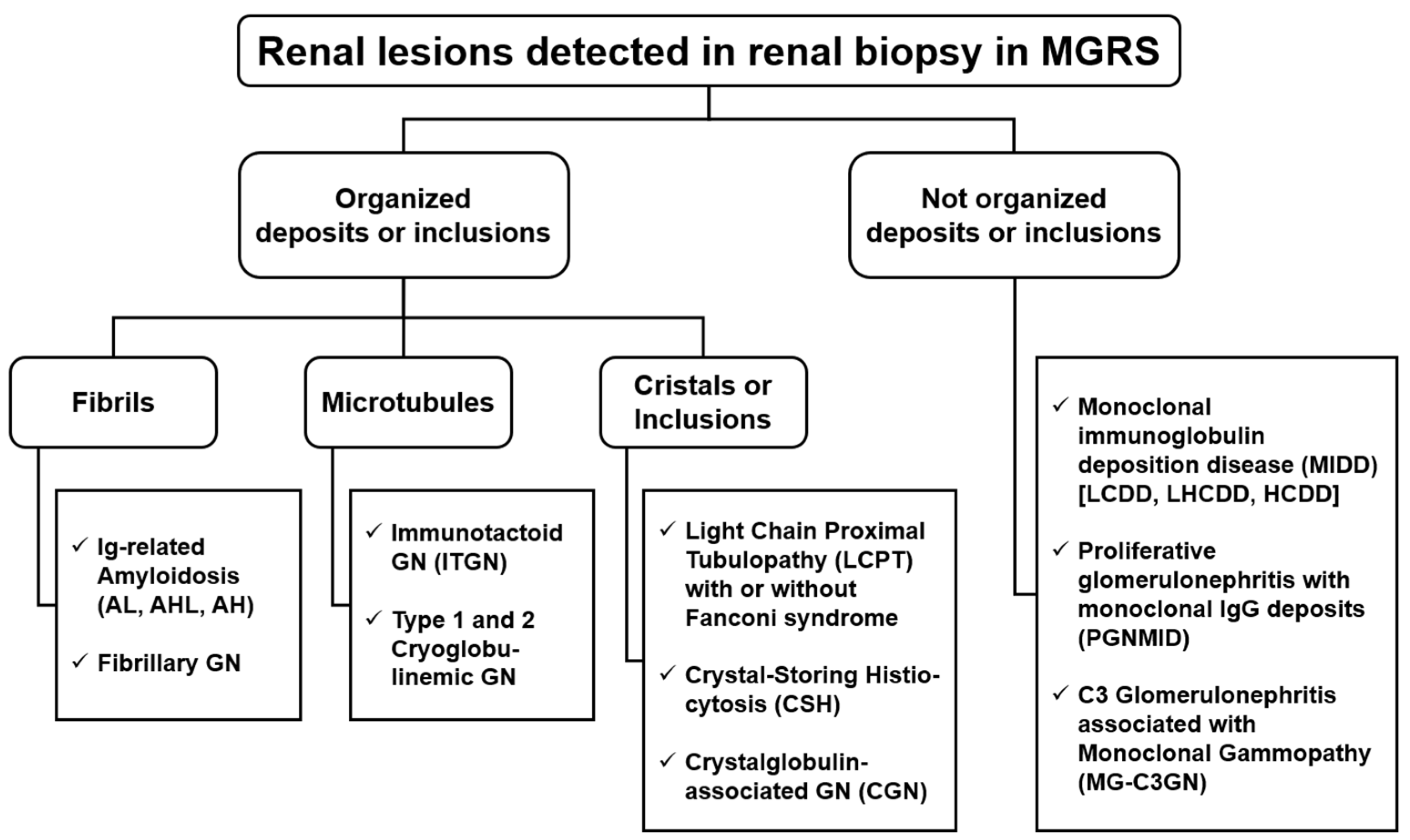 Diagnostic and Therapeutic Aspects of Monoclonal Gammopathies of Renal ...