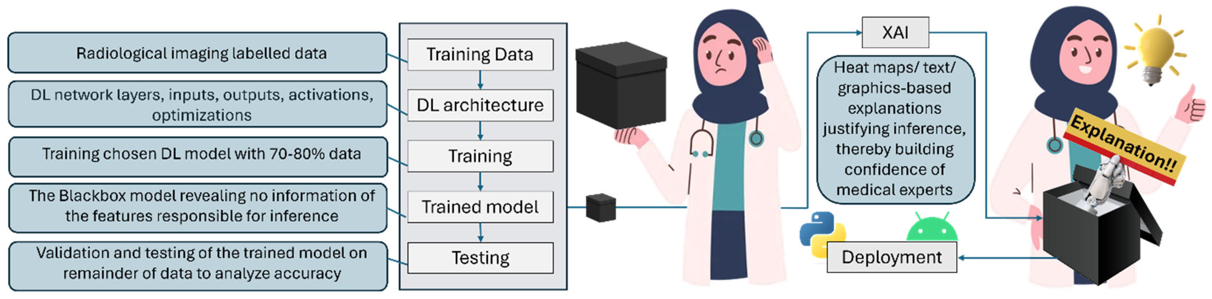 Explainable AI in Diagnostic Radiology for Neurological Disorders: A ...