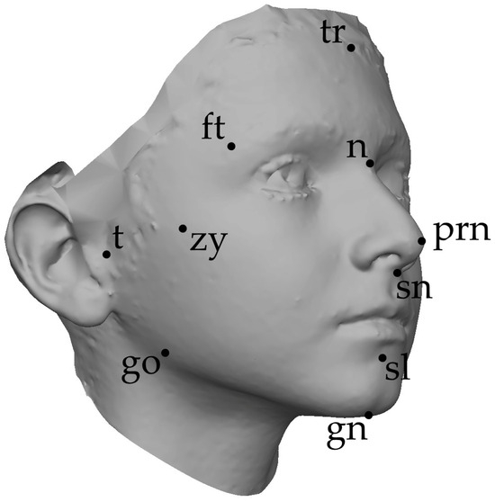 Three-Dimensional Geometric Morphometric Characterization of Facial ...