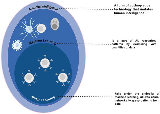 Optimizing Cancer Treatment: Exploring the Role of AI in Radioimmunotherapy