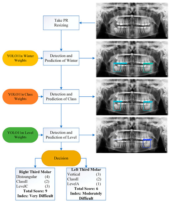 Development of an AI-Supported Clinical Tool for Assessing Mandibular ...