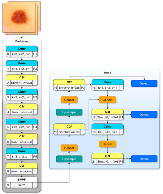 YOLOSAMIC: A Hybrid Approach to Skin Cancer Segmentation with the Segment Anything Model and YOLOv8