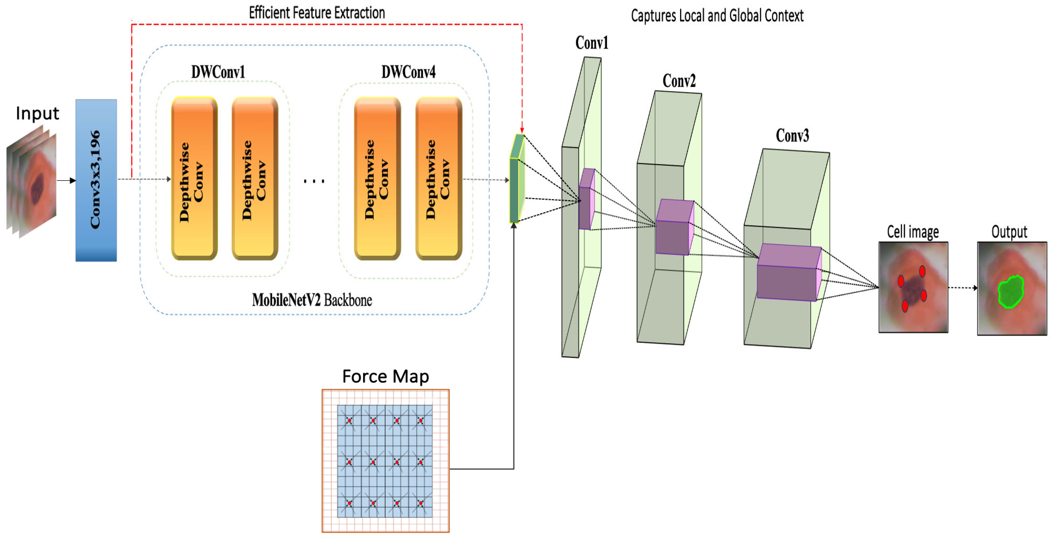 Force Map-Enhanced Segmentation of a Lightweight Model for the Early ...