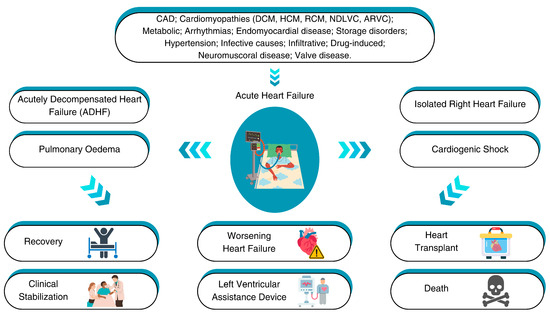 Acute Heart Failure and Non-Ischemic Cardiomyopathies: A Comprehensive ...
