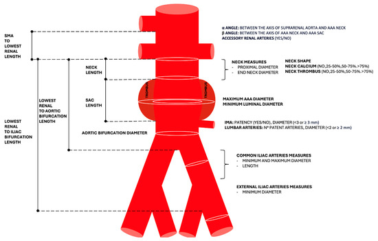 Atherosclerotic Abdominal Aortic Aneurysms on Computed Tomography ...