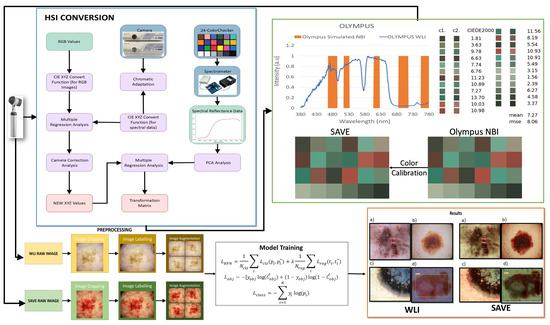 Assessing the Efficacy of the Spectrum-Aided Vision Enhancer (SAVE) to Detect Acral Lentiginous ...