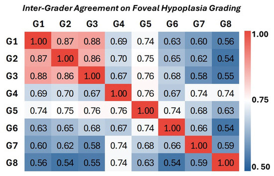 Foveal Hypoplasia Grading with Optical Coherence Tomography: Agreement ...
