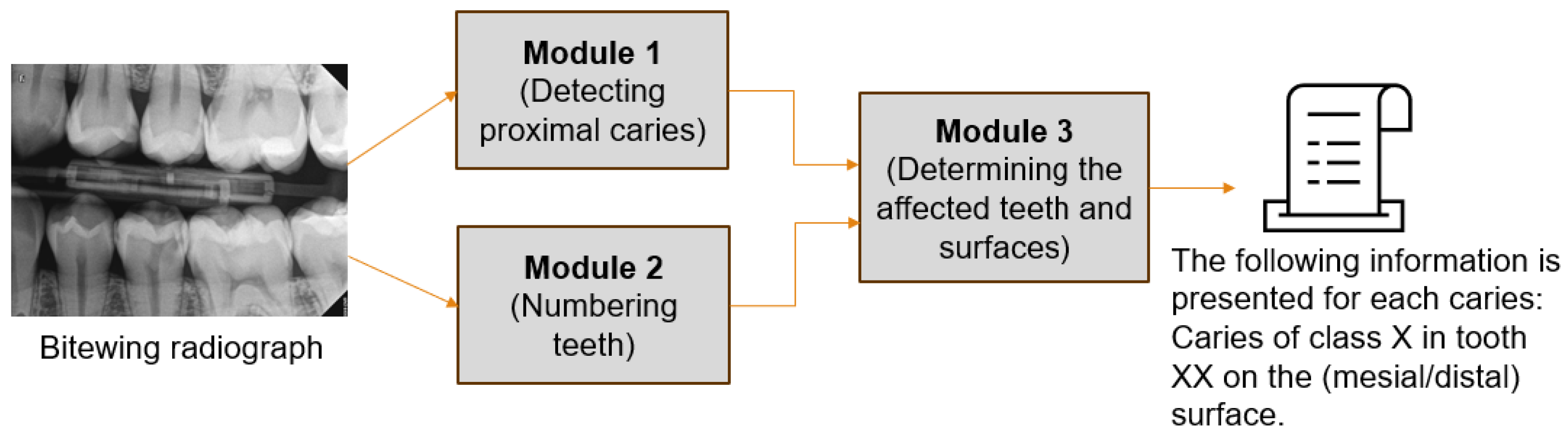 Automated Detection, Localization, and Severity Assessment of Proximal Dental Caries from ...