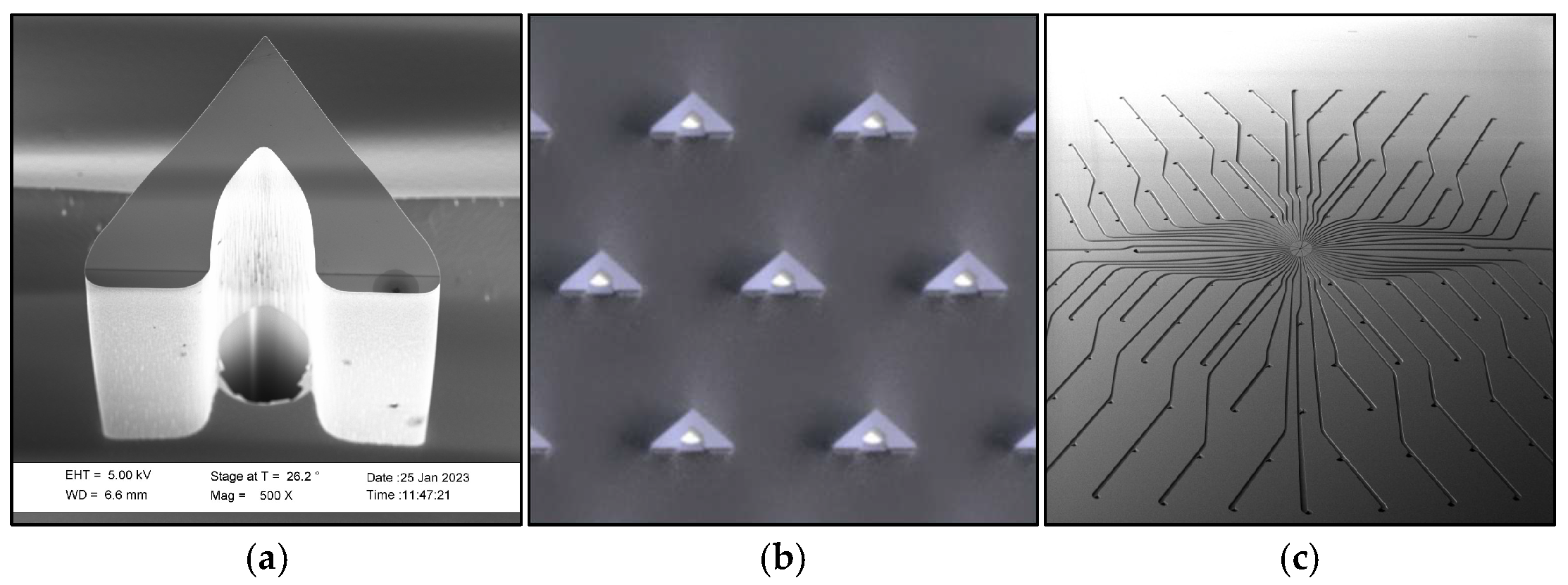 Use of a Silicon Microneedle Chip-Based Device for the Extraction and ...