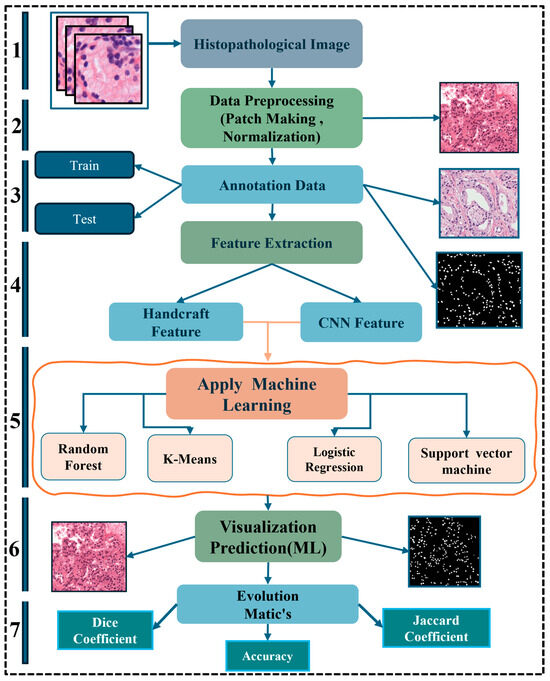 Comparative Study of Cell Nuclei Segmentation Based on Computational and Handcrafted Features ...